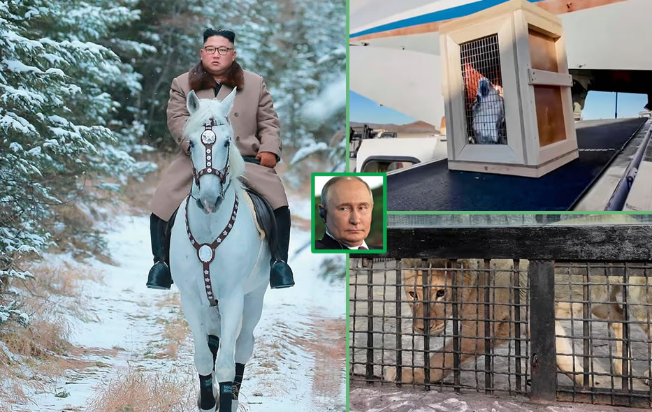 Putin amtumia zawadi ya wanyama Rais Kim Jong Un - PMTV